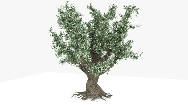 3D oak tree live model - TurboSquid 1710805