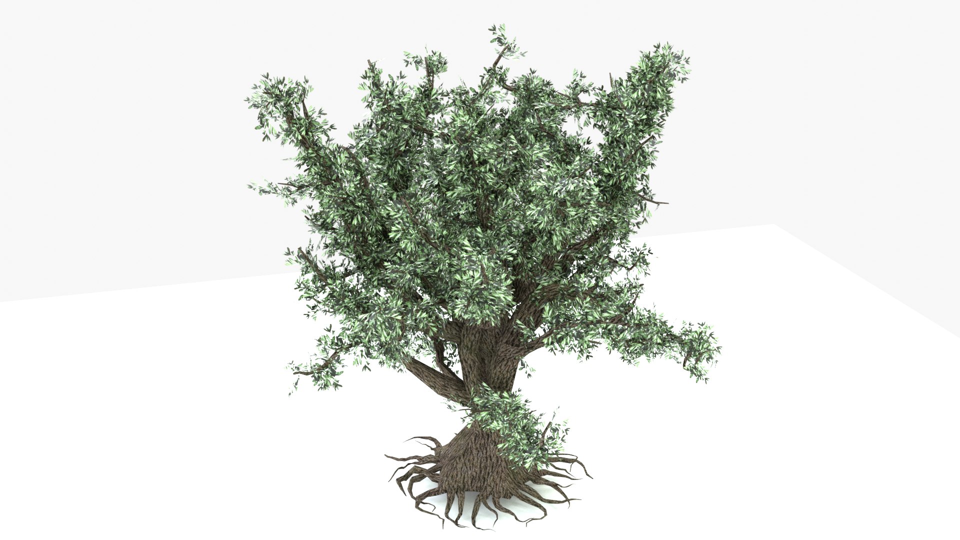 3D Oak Tree Live Model - TurboSquid 1710805