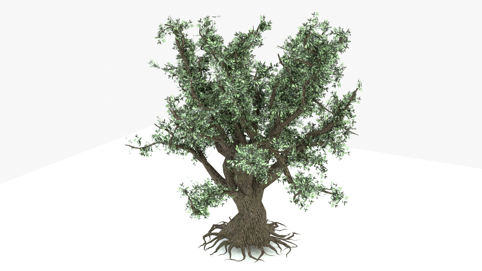 3D Oak Tree Live Model - TurboSquid 1710805