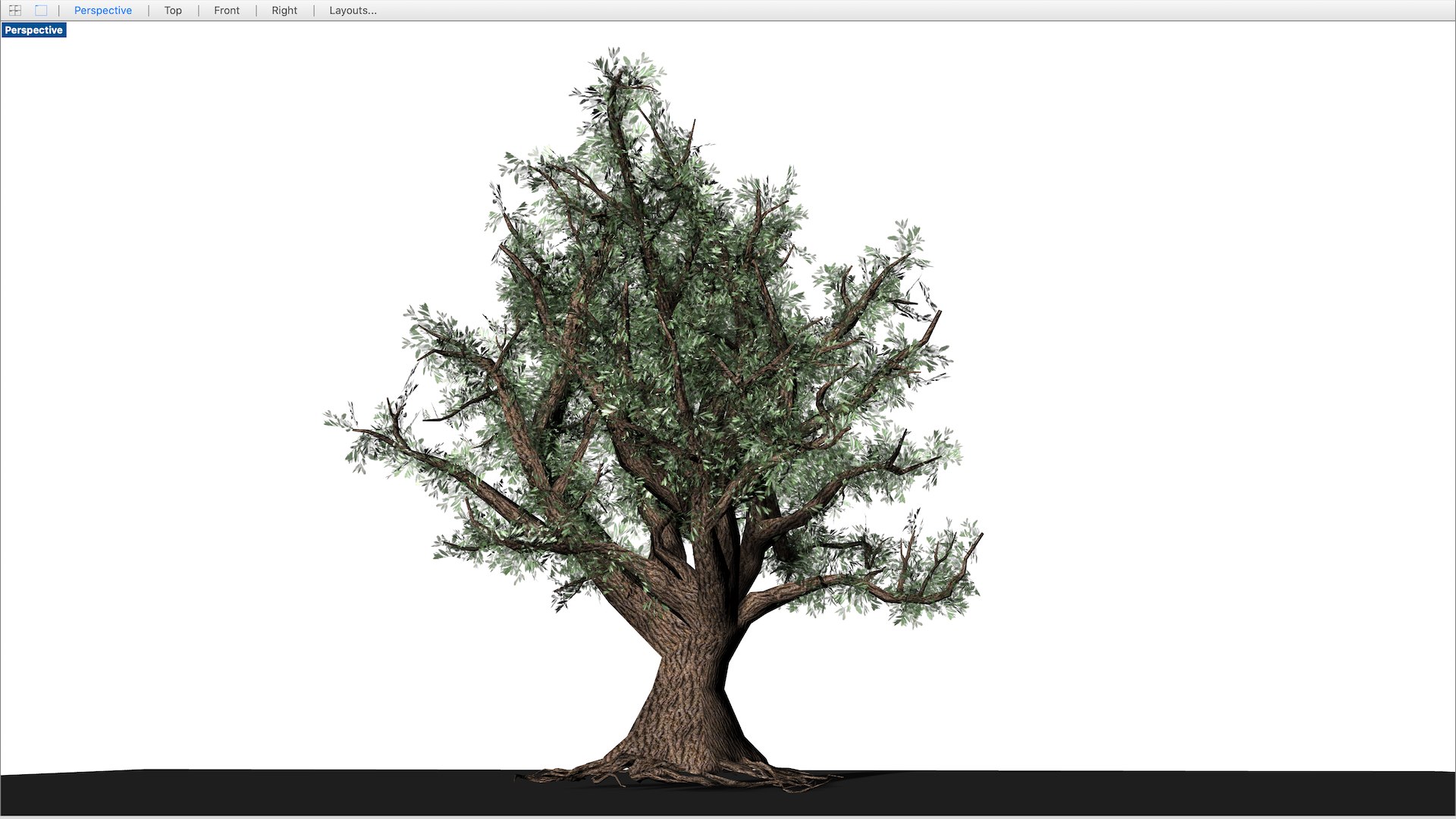 3D Oak Tree Live Model - TurboSquid 1710805