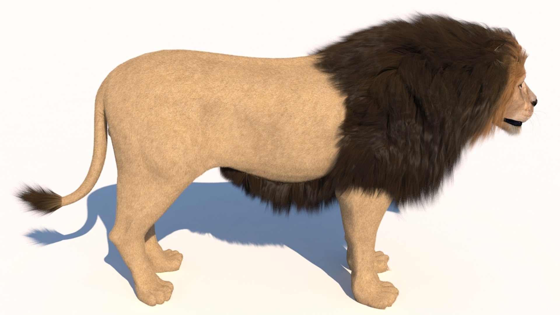 3d Model Rigged Fur Lion