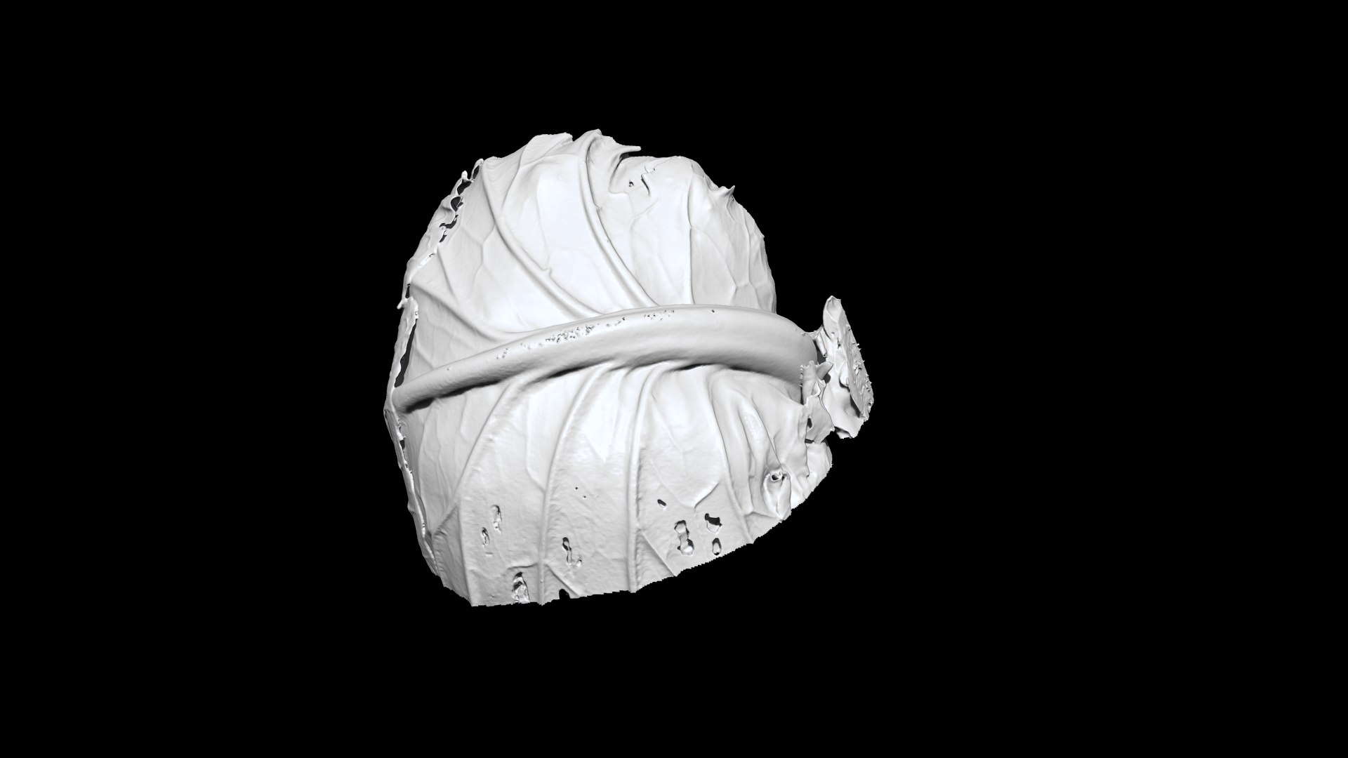 Cabbage 3D CT Scan Model Cut 4 3D - TurboSquid 1908503