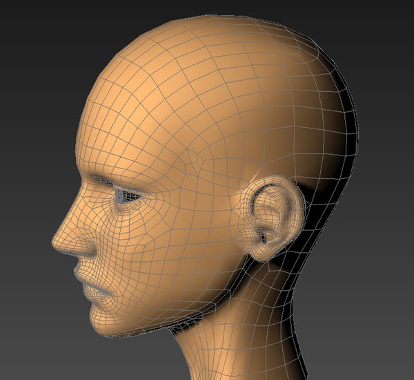 Man head 3D model - TurboSquid 1252414