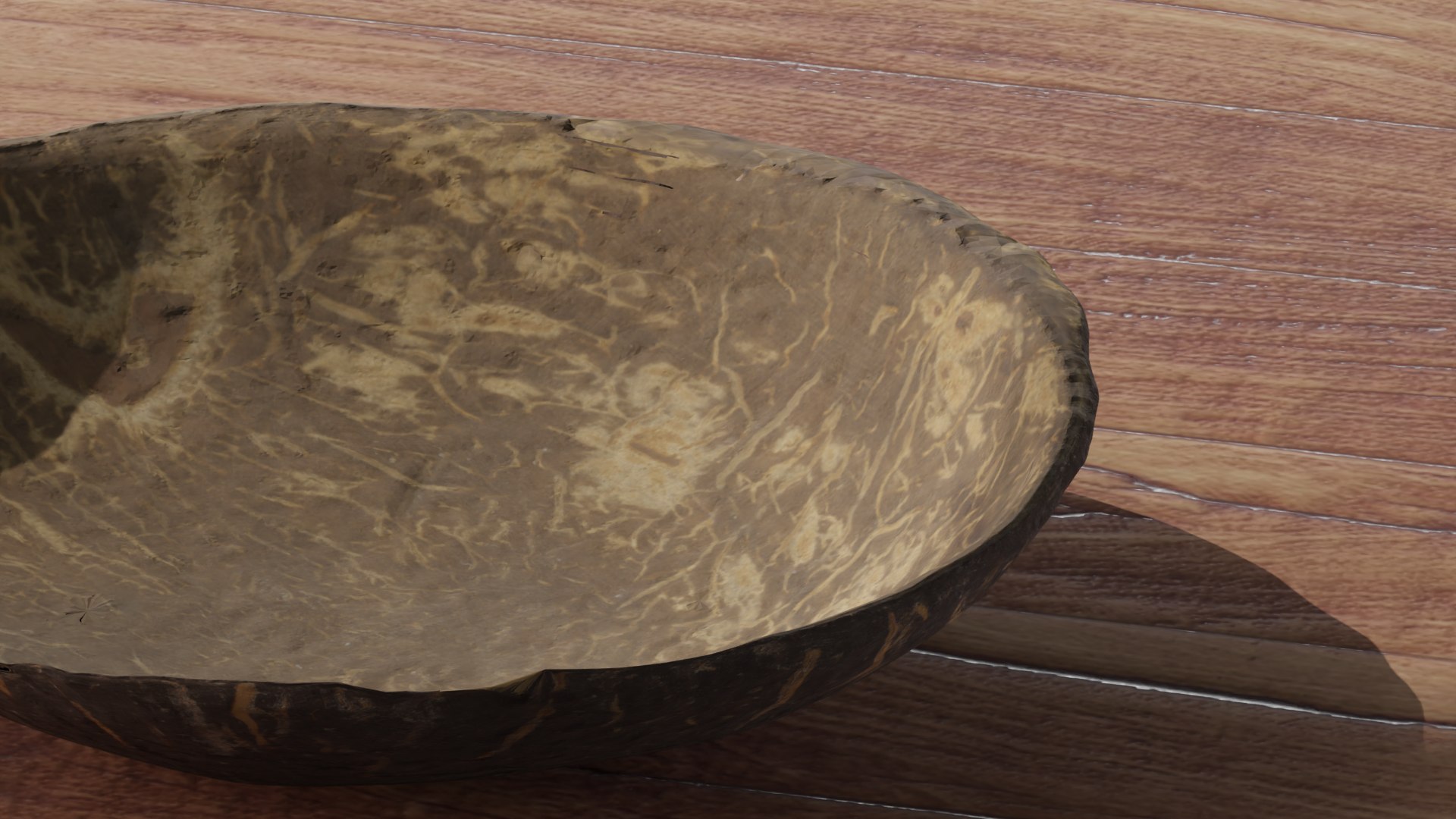Coconut PLate 3D model - TurboSquid 1914017