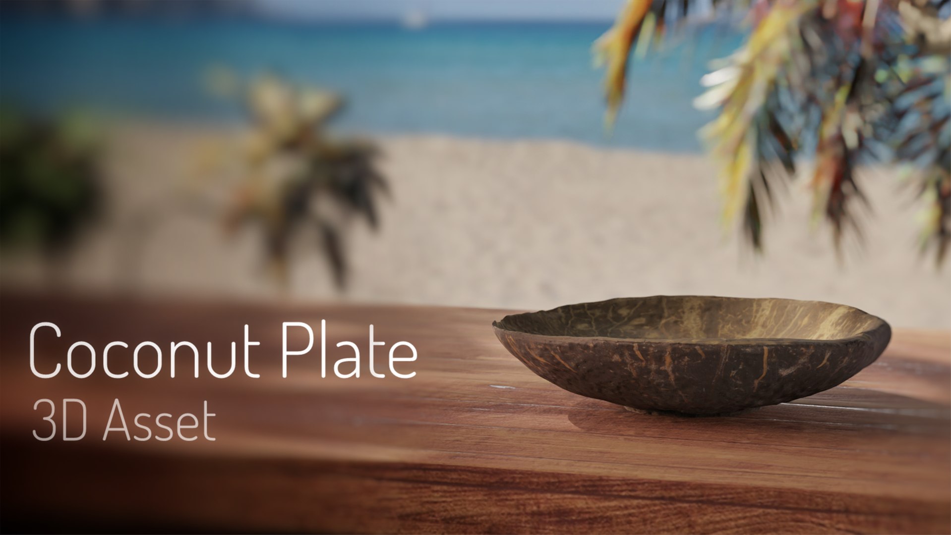 Coconut PLate 3D model - TurboSquid 1914017