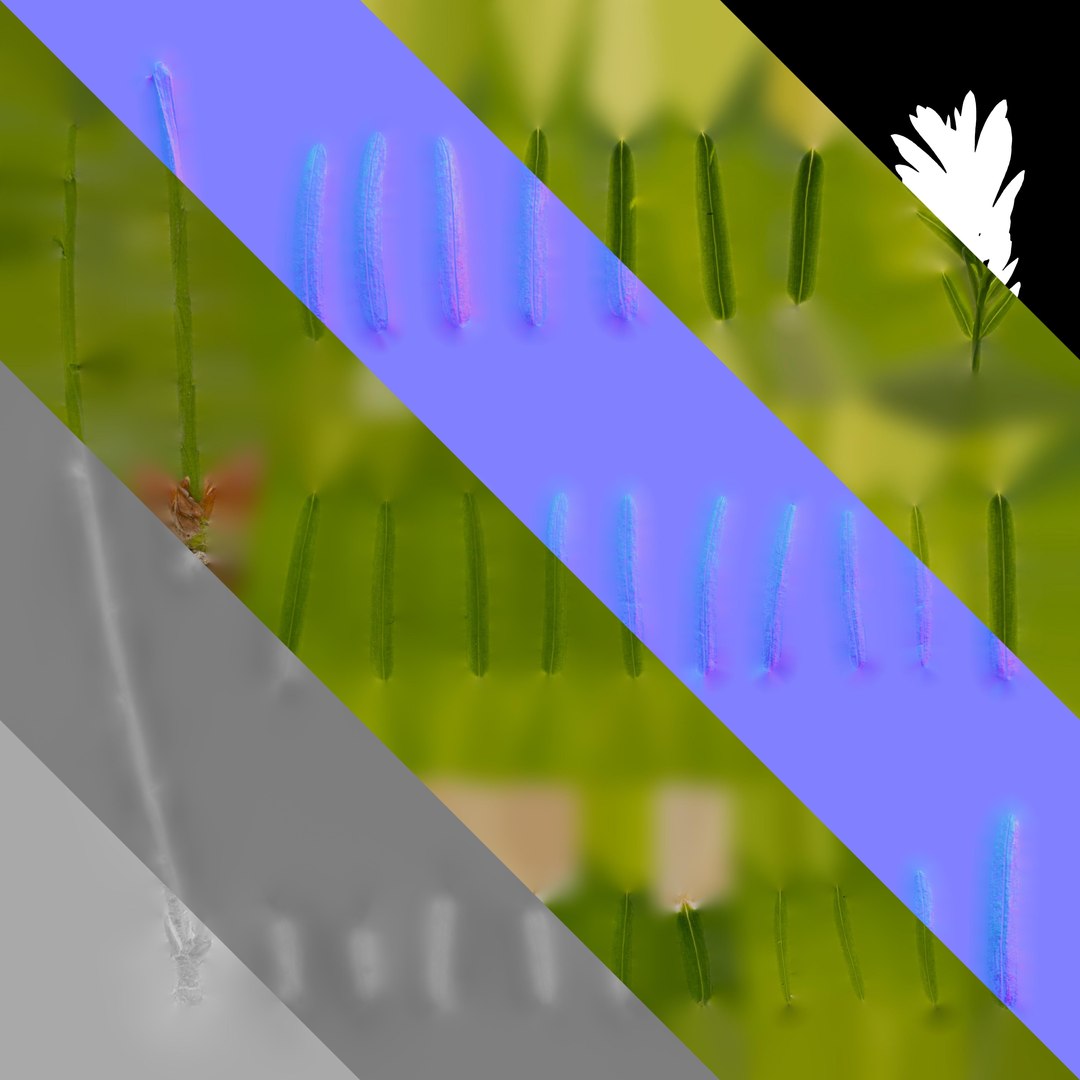Anydrafts Metasequoia Glyptostroboides Textures Pack 3D Model ...