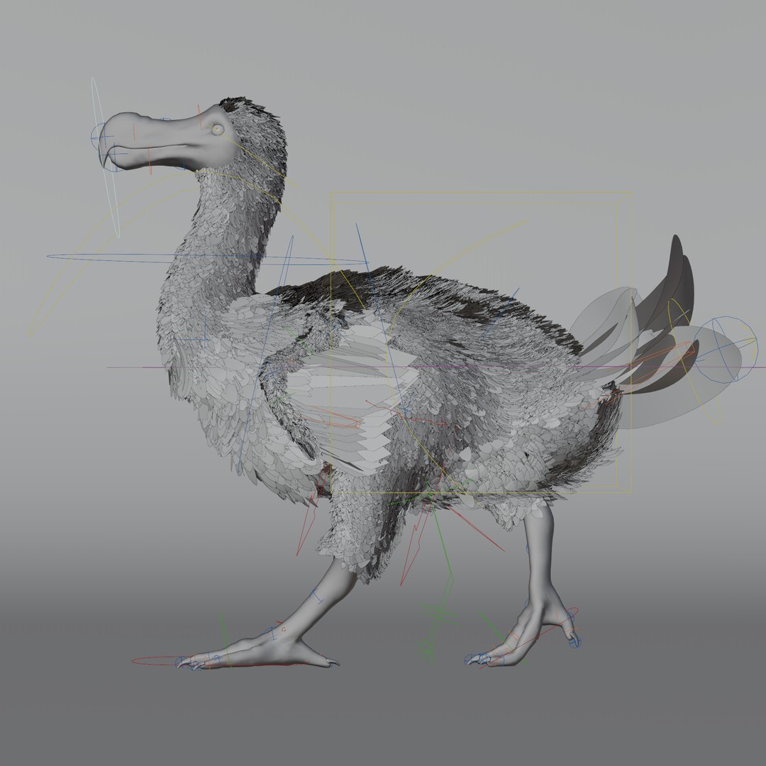 Dodo Rigged Animated 3D Model Model - TurboSquid 2186388