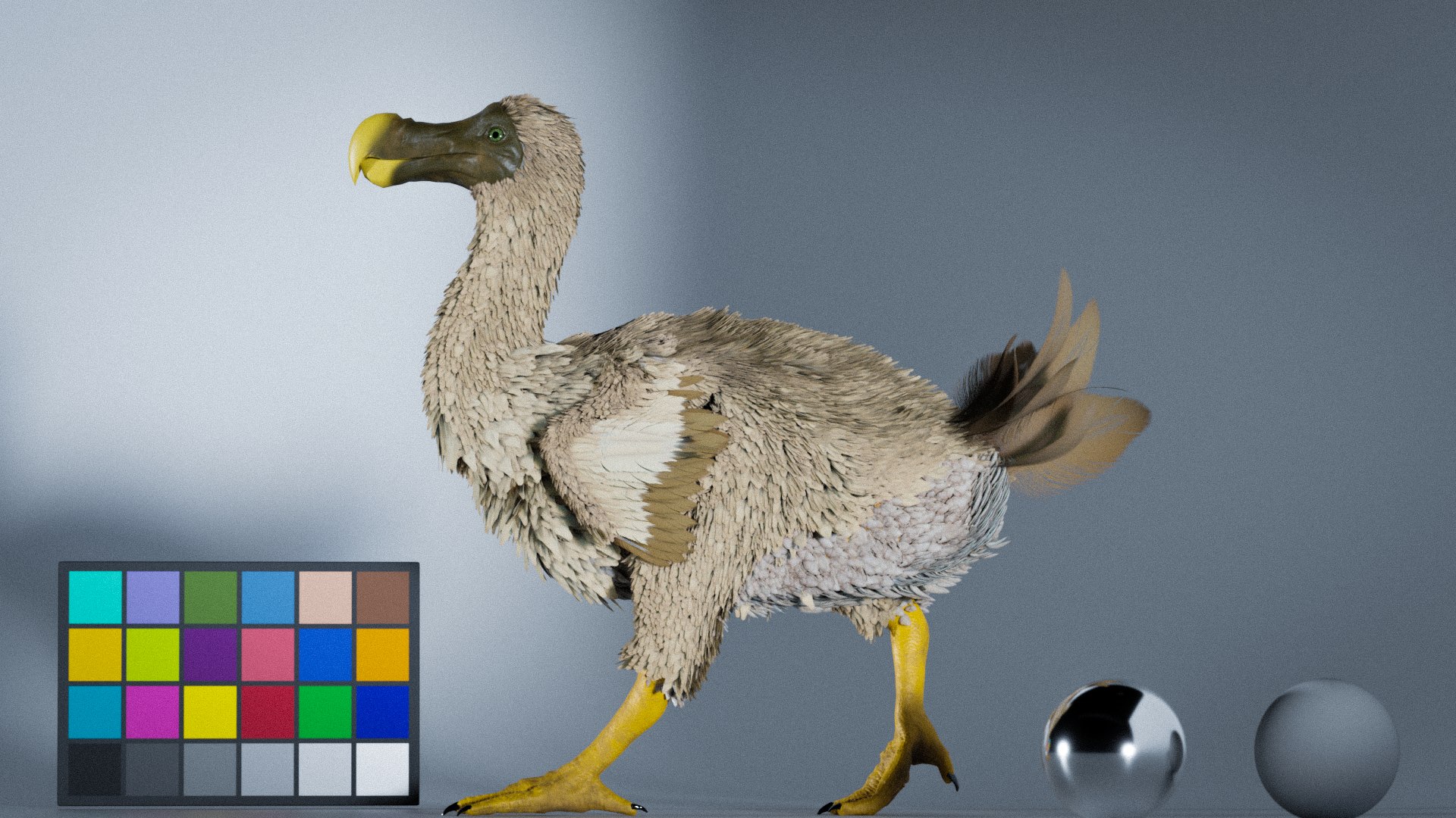 Dodo Rigged Animated 3D Model Model - TurboSquid 2186388