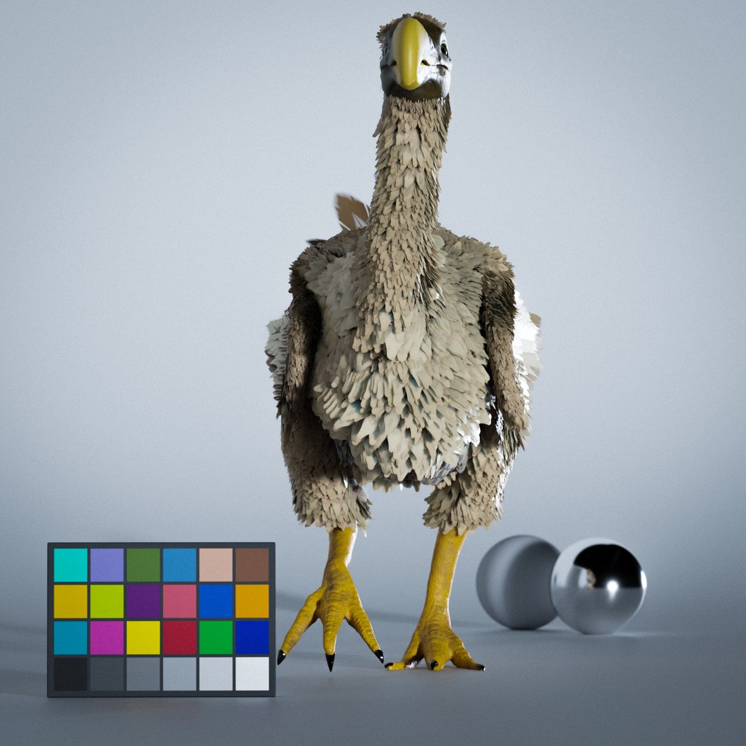 Dodo Rigged Animated 3D Model Model - TurboSquid 2186388