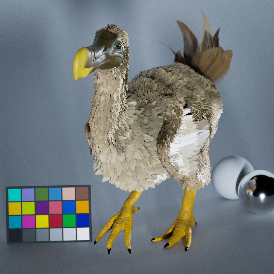 Dodo Rigged Animated 3D Model Model - TurboSquid 2186388