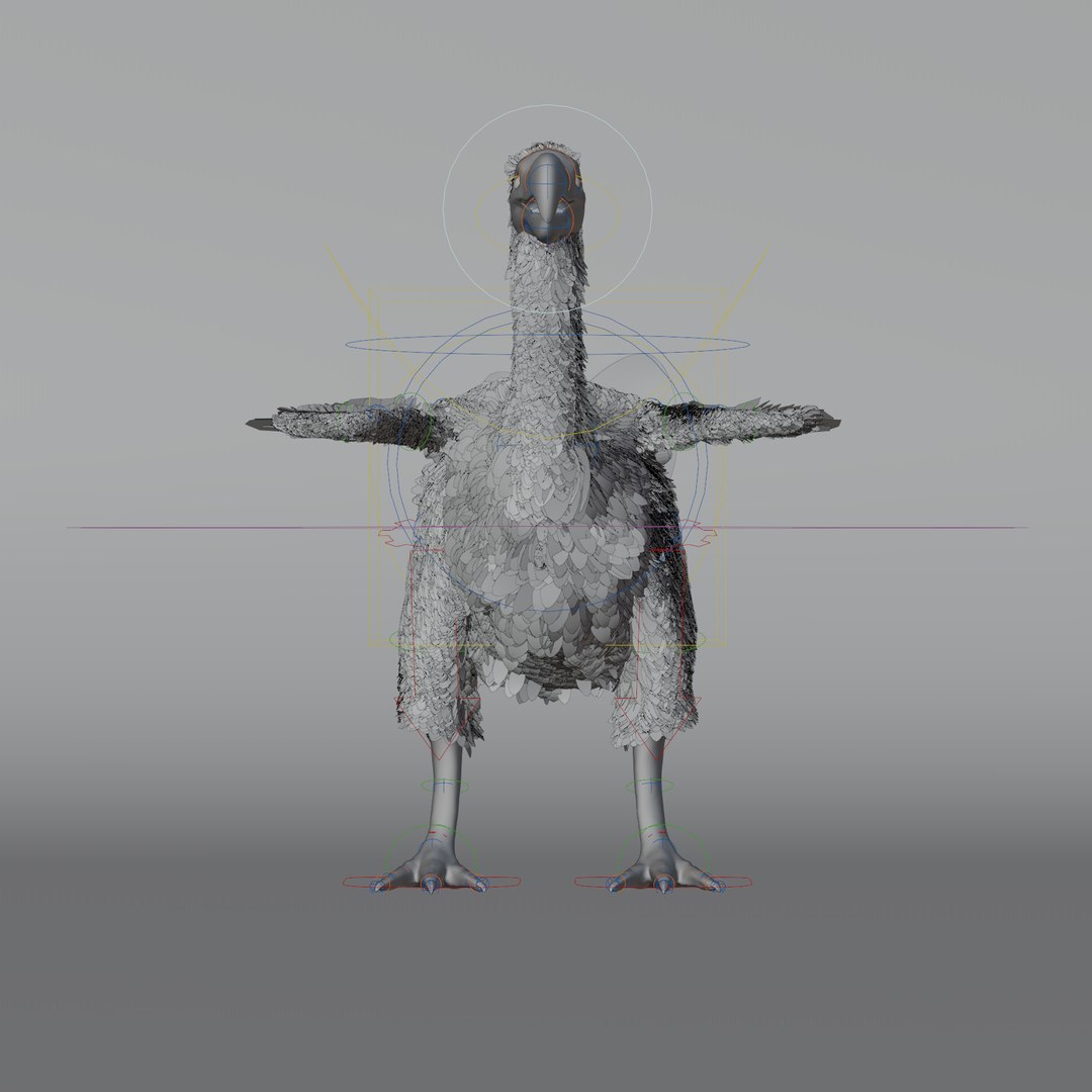 Dodo Rigged Animated 3D Model Model - TurboSquid 2186388