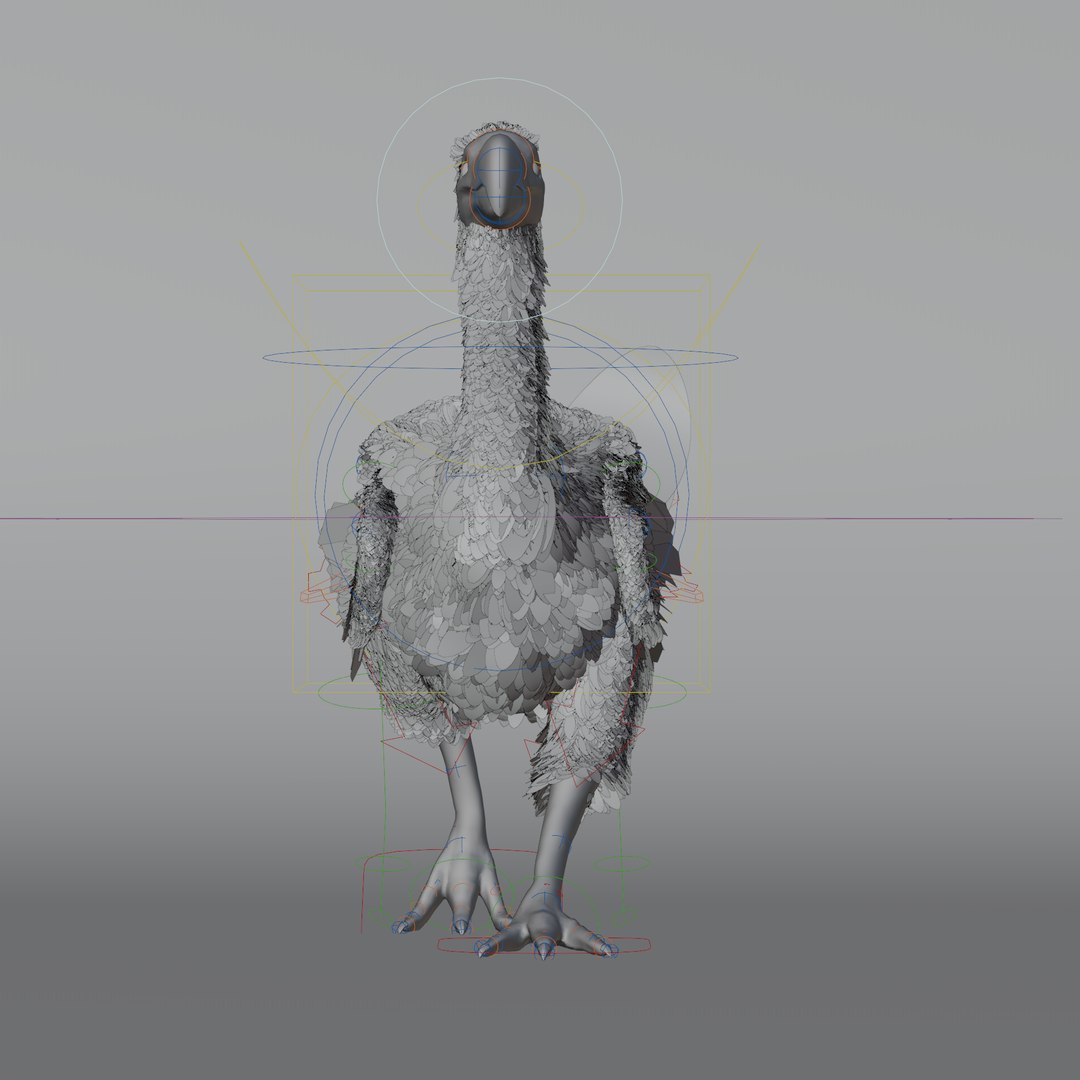 Dodo Rigged Animated 3D Model Model - TurboSquid 2186388