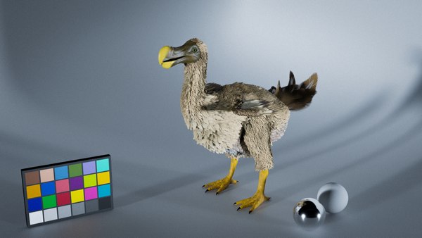 modelo 3d Dodo aparejado animado modelo 3d - TurboSquid 2186388