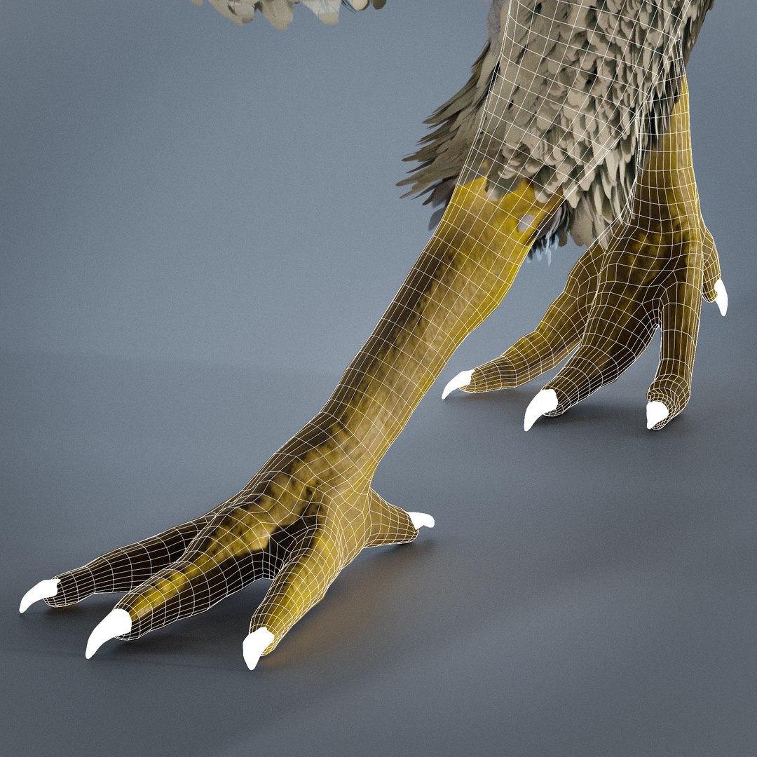 Dodo Rigged Animated 3D Model Model - TurboSquid 2186388