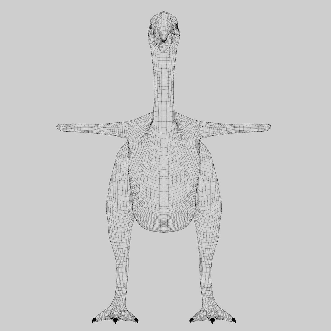 Dodo Rigged Animated 3D Model Model - TurboSquid 2186388