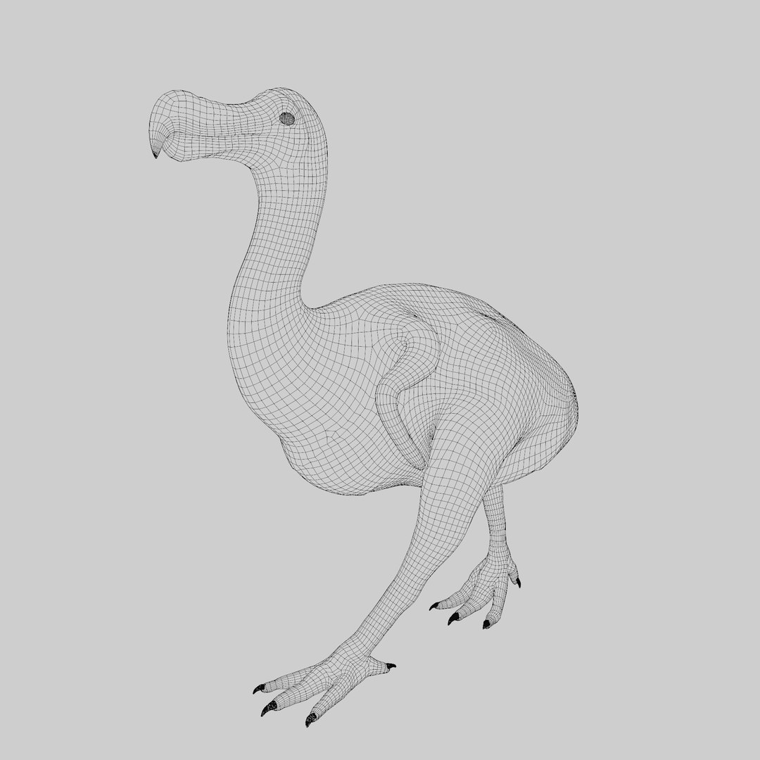 Dodo Rigged Animated 3D Model Model - TurboSquid 2186388