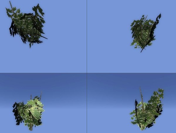 Free 3D Bush Models | TurboSquid
