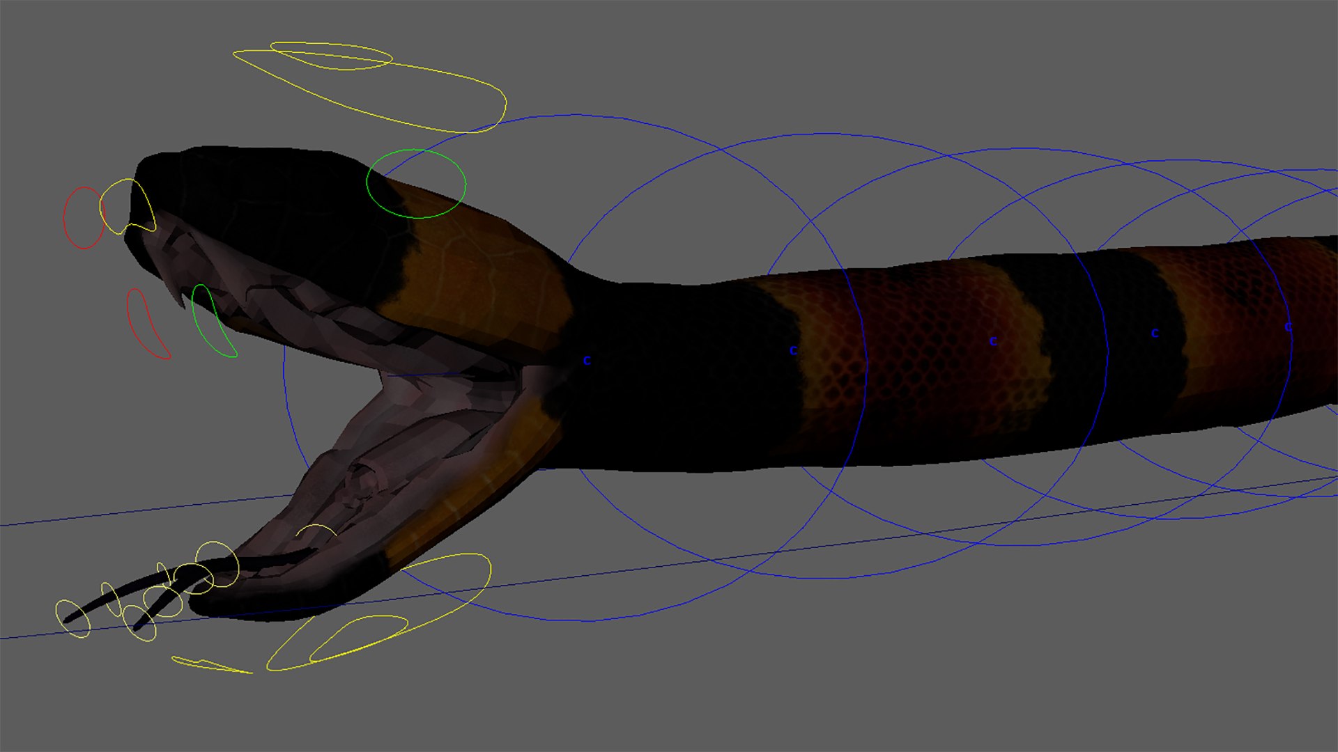 3D Coral Snake Rigged Animated Model - TurboSquid 1724835