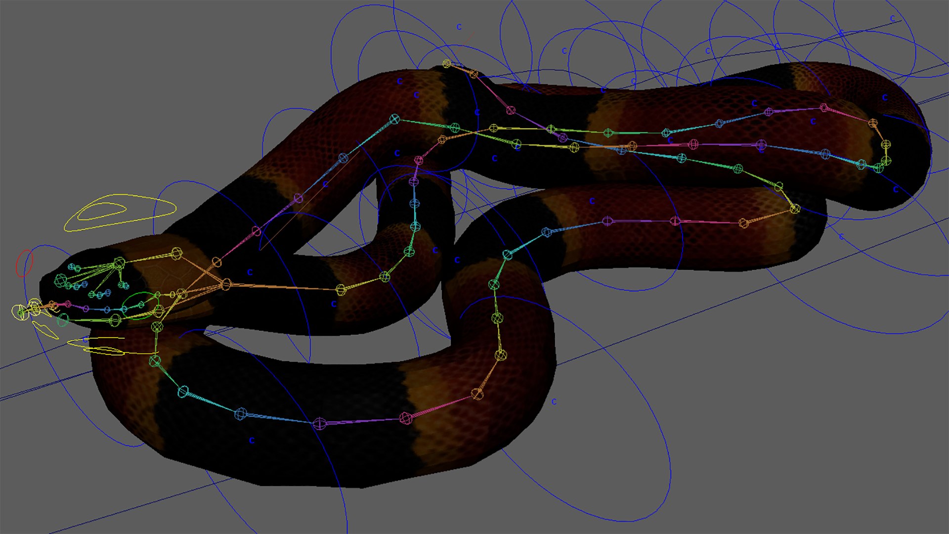 3D Coral Snake Rigged Animated Model - TurboSquid 1724835