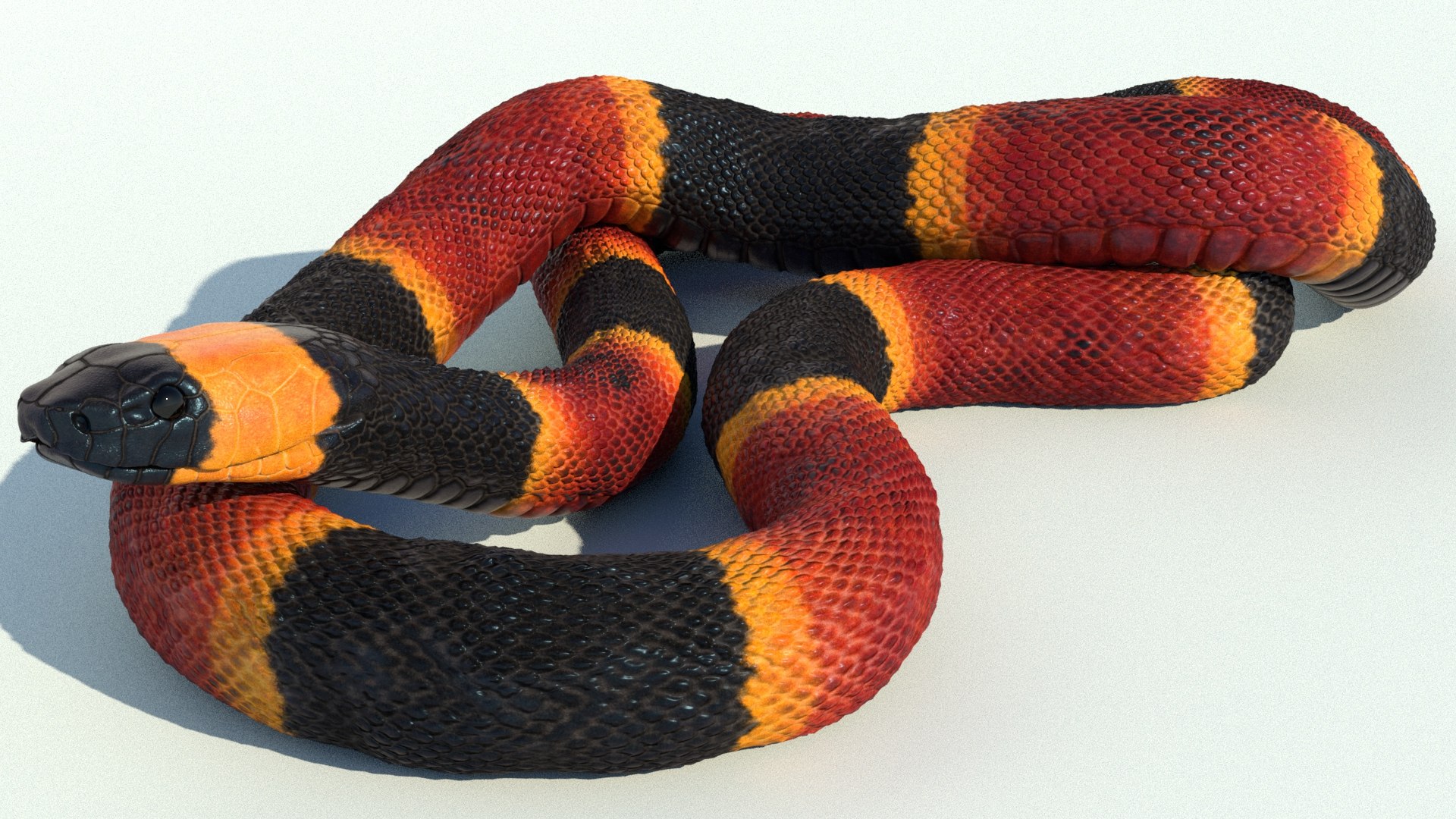 3D Coral Snake Rigged Animated Model - TurboSquid 1724835