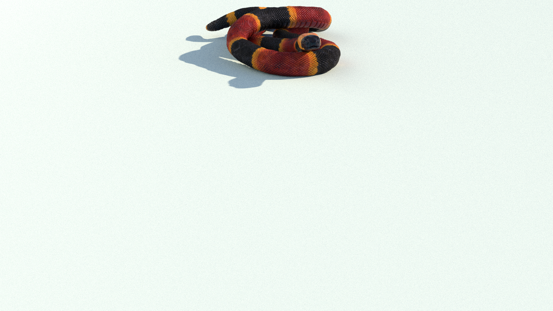 3D Coral Snake Rigged Animated Model - TurboSquid 1724835