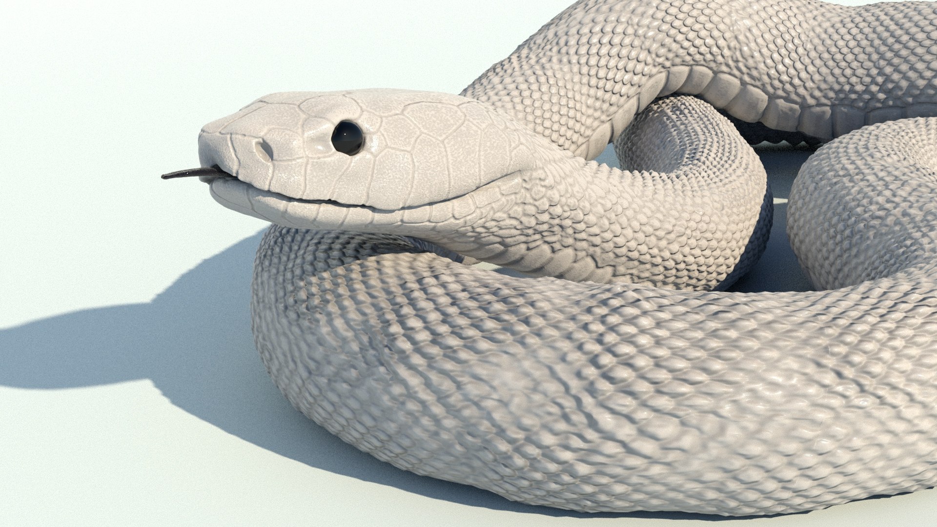 3D Coral Snake Rigged Animated Model - TurboSquid 1724835