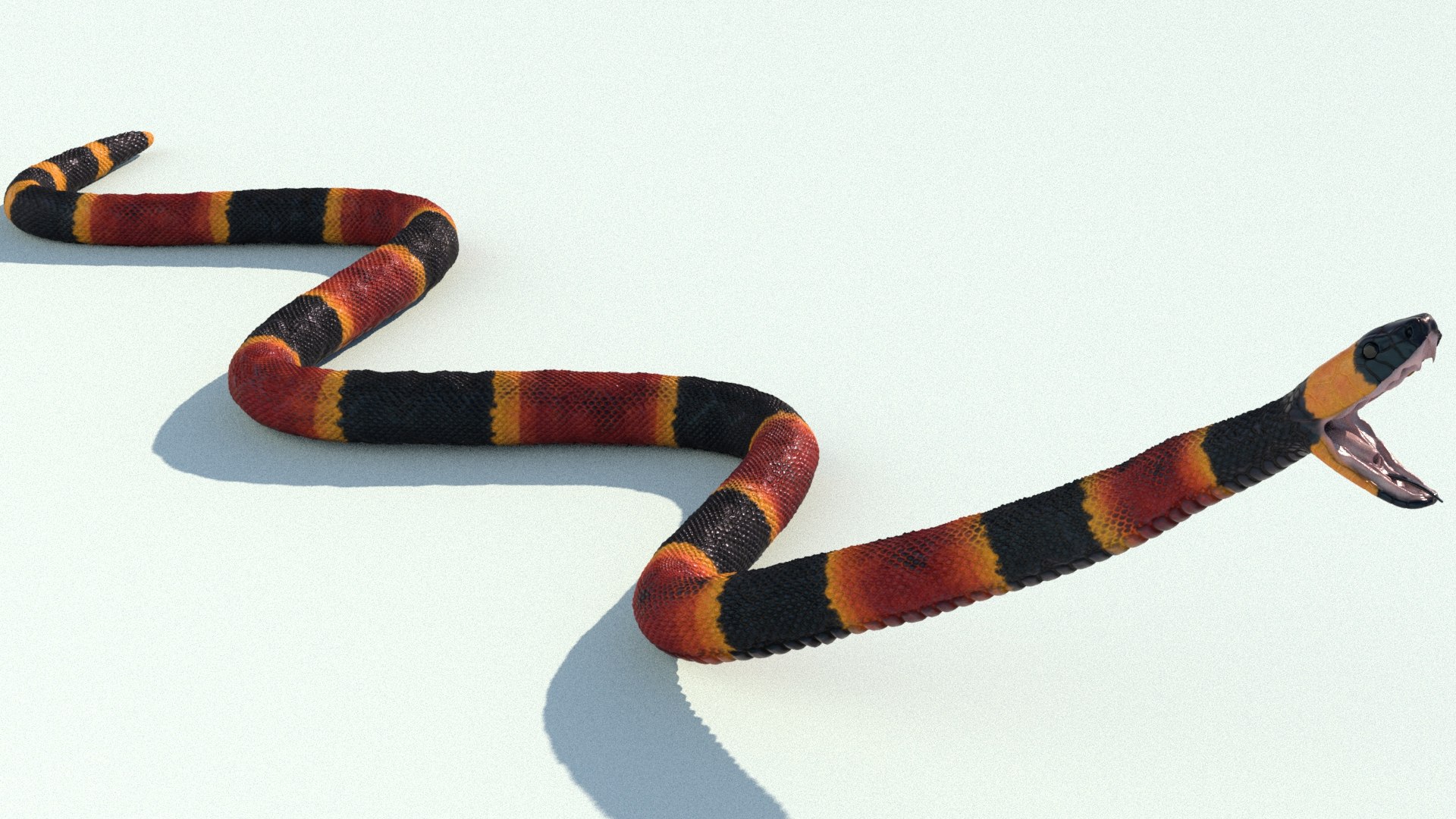 3D Coral Snake Rigged Animated Model - TurboSquid 1724835