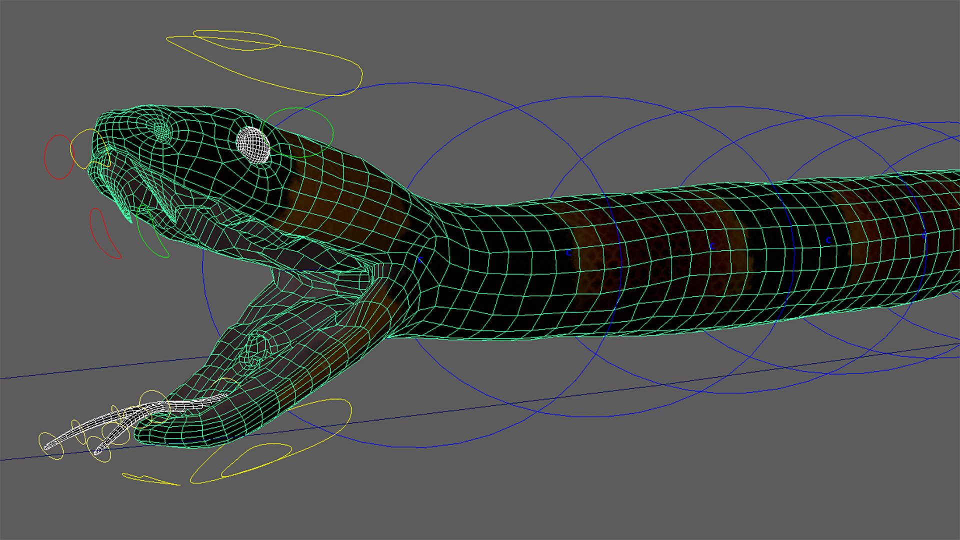 3D Coral Snake Rigged Animated Model - TurboSquid 1724835