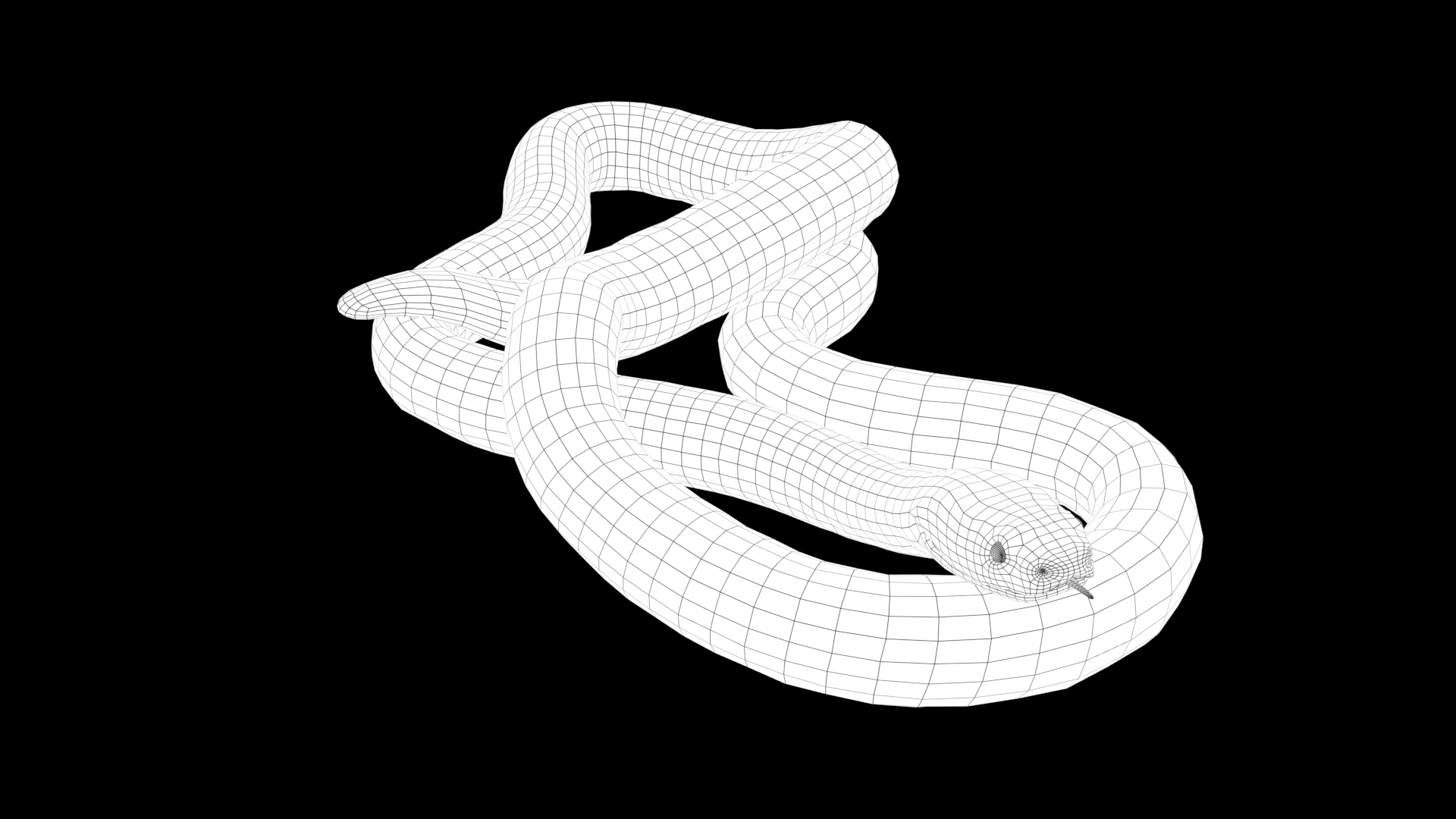3D Coral Snake Rigged Animated Model - TurboSquid 1724835