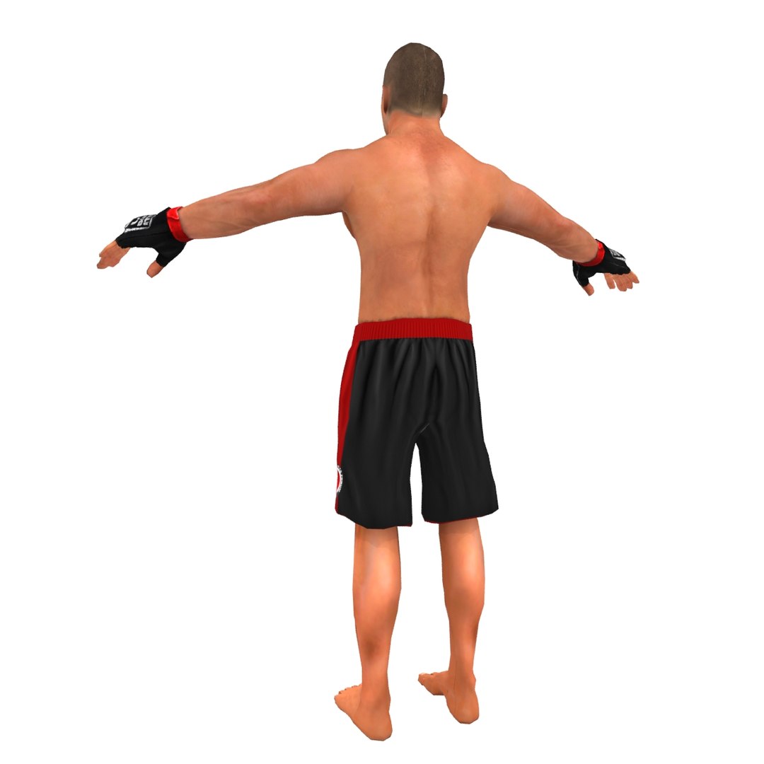 3d mma fighter