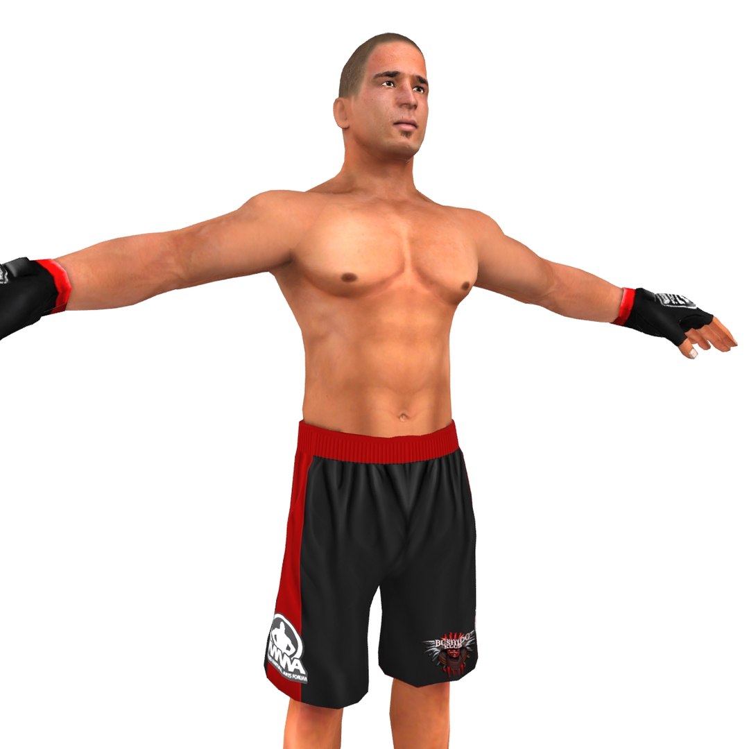 3d mma fighter