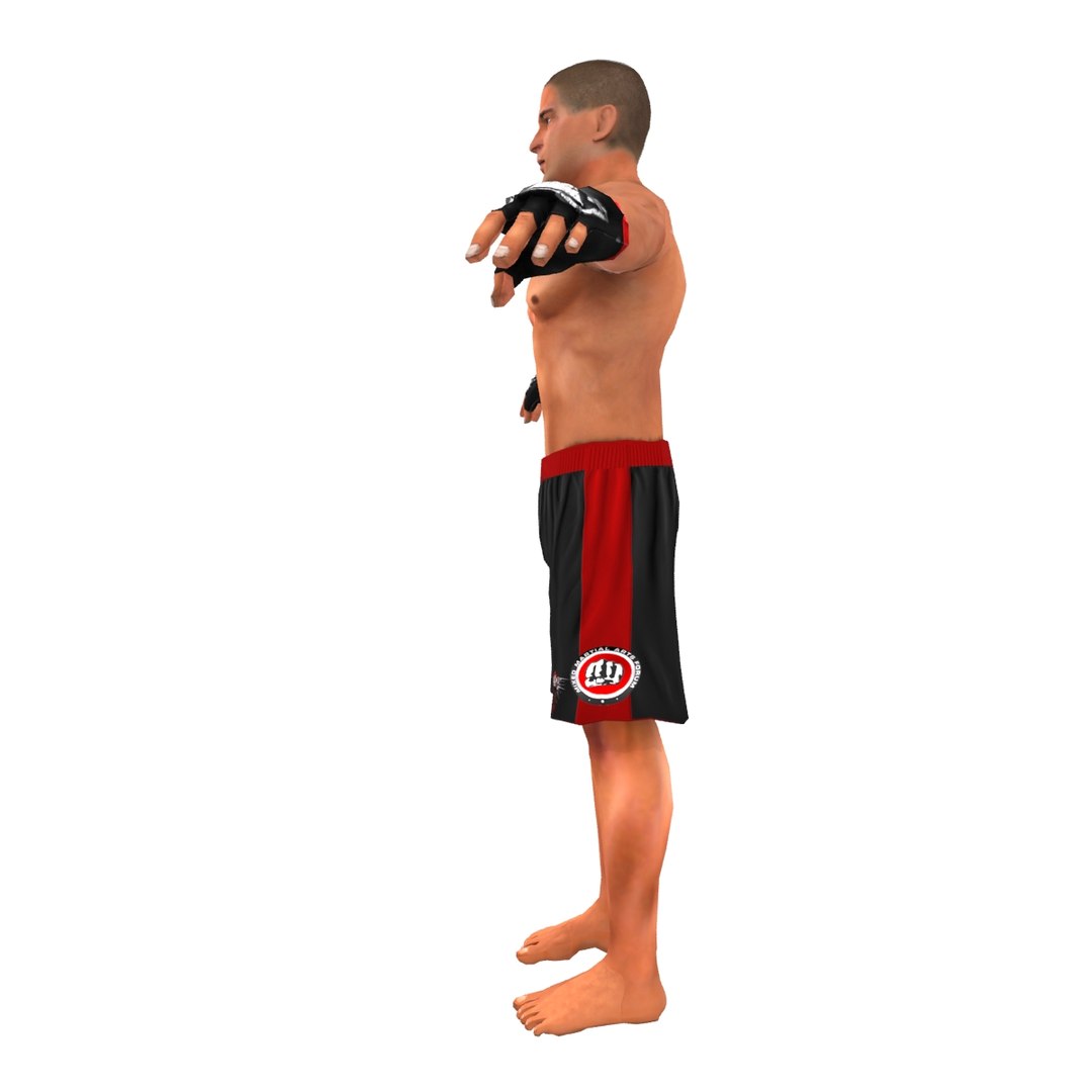 3d mma fighter
