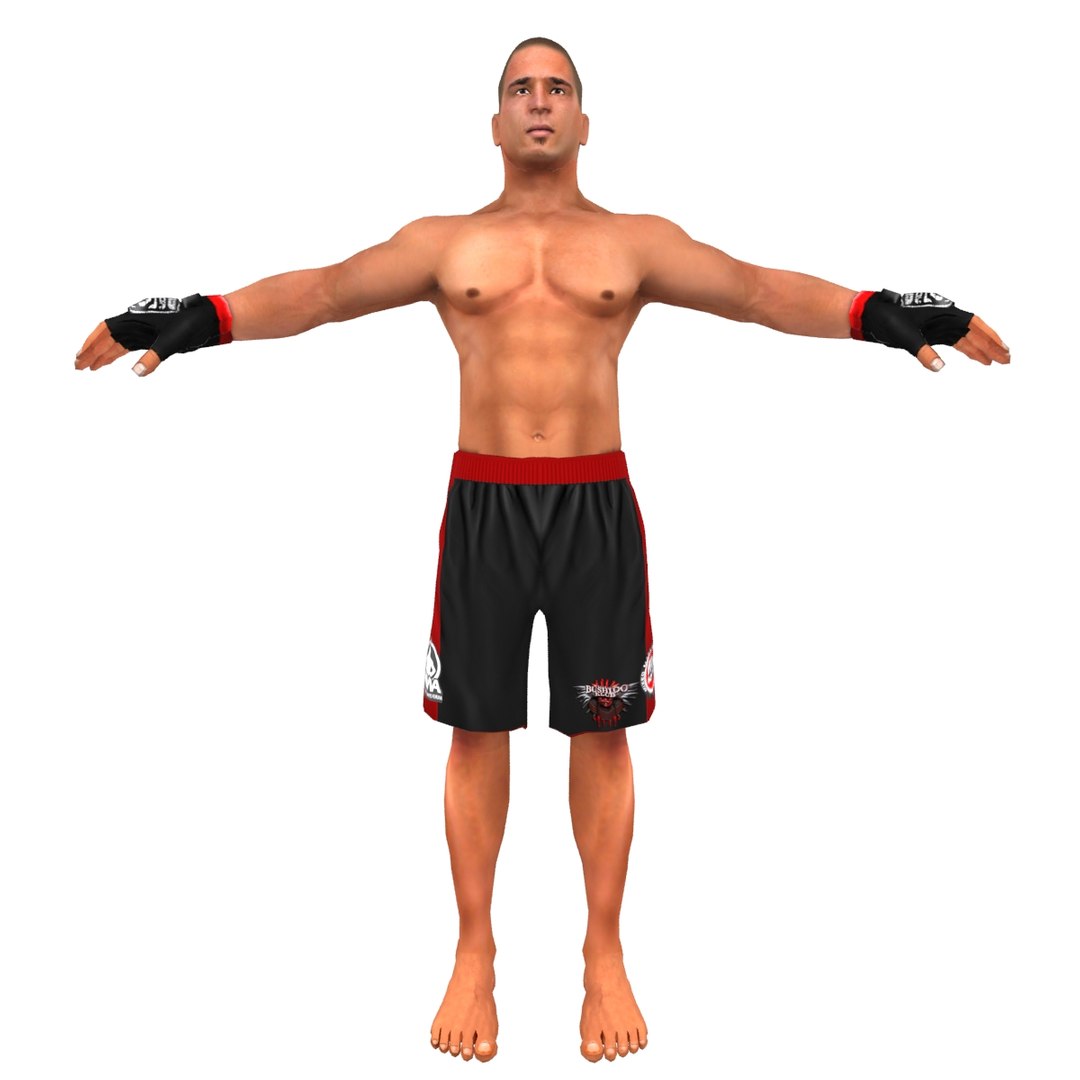 3d mma fighter