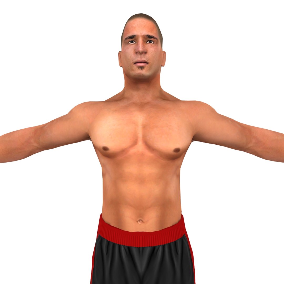 3d mma fighter