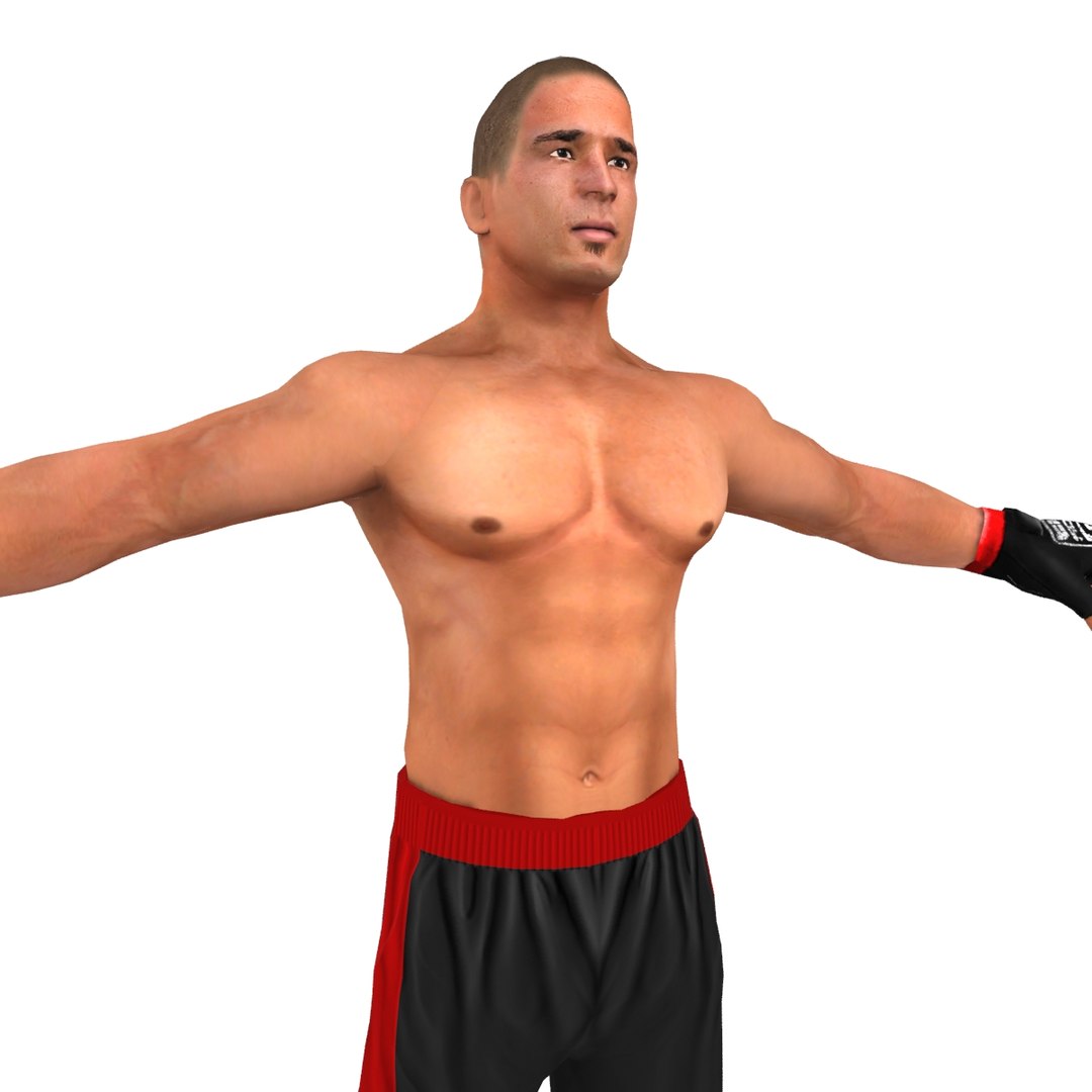 3d mma fighter
