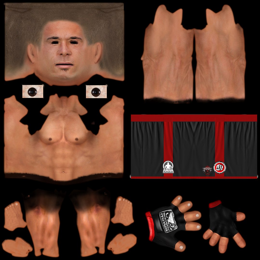 3d mma fighter