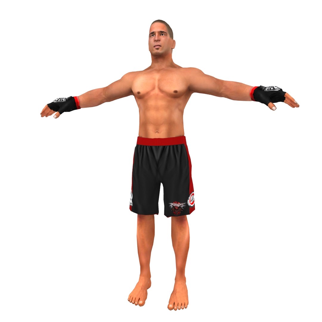 3d mma fighter