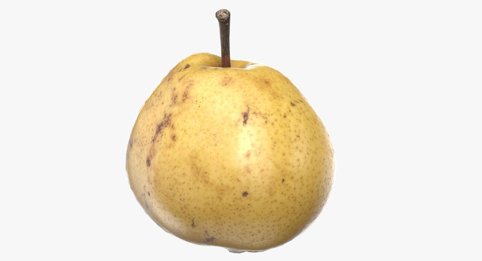 Comice pear 03 ready 3D model - TurboSquid 1436323
