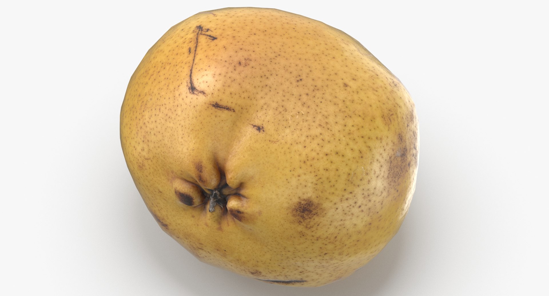 Comice pear 03 ready 3D model - TurboSquid 1436323