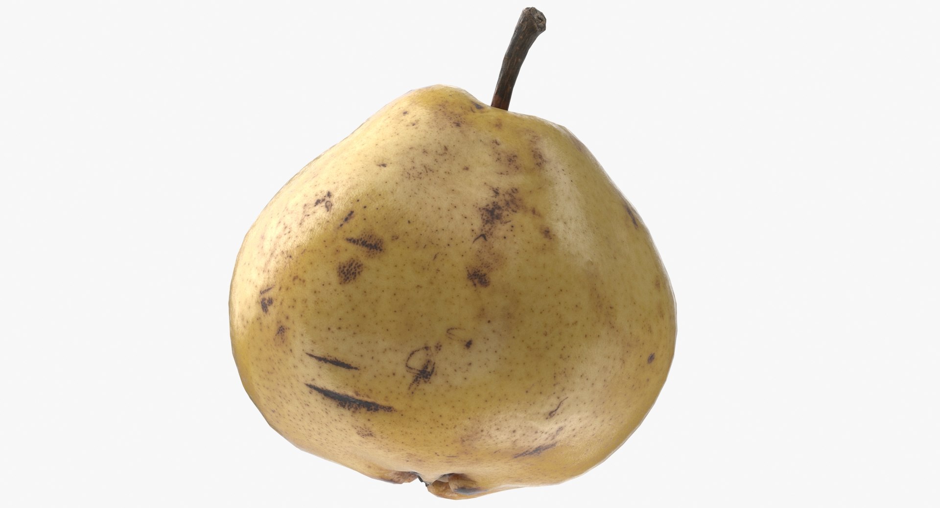 Comice pear 03 ready 3D model - TurboSquid 1436323
