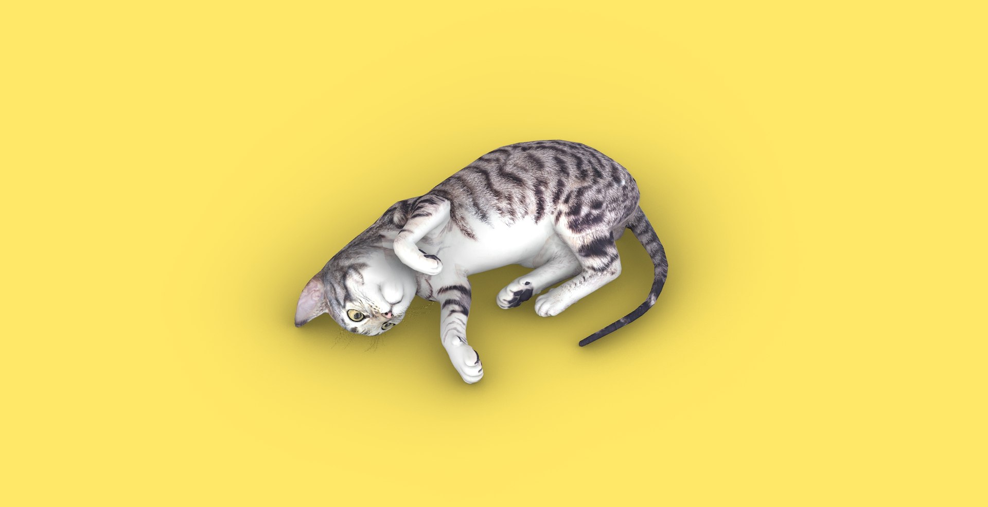 Rolling And Tumbling Calico Cat 3D - TurboSquid 2076819