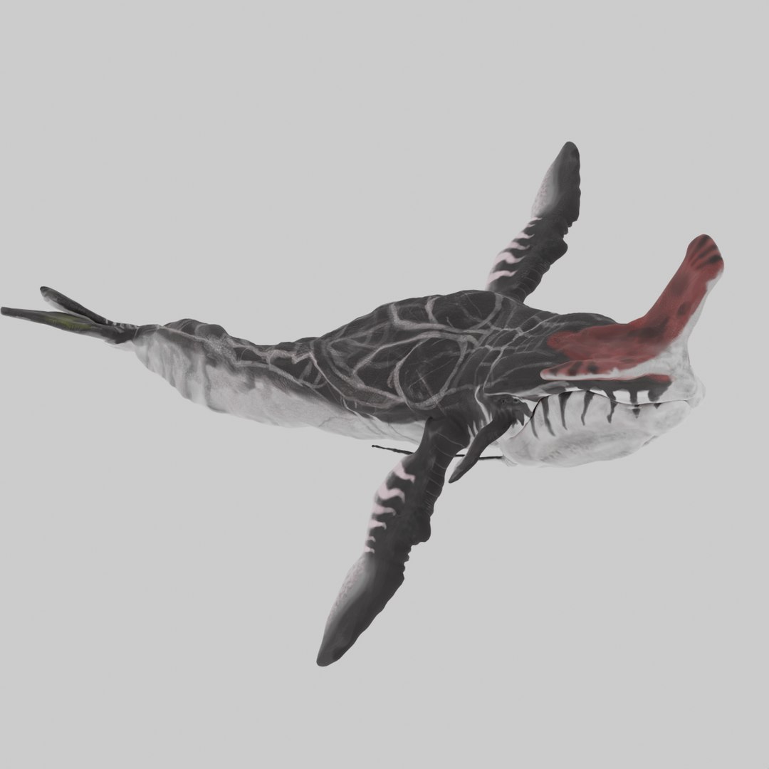 3D Tulkun Animated Rigged 3D Model Inspired By Avatar The Way Of Water ...