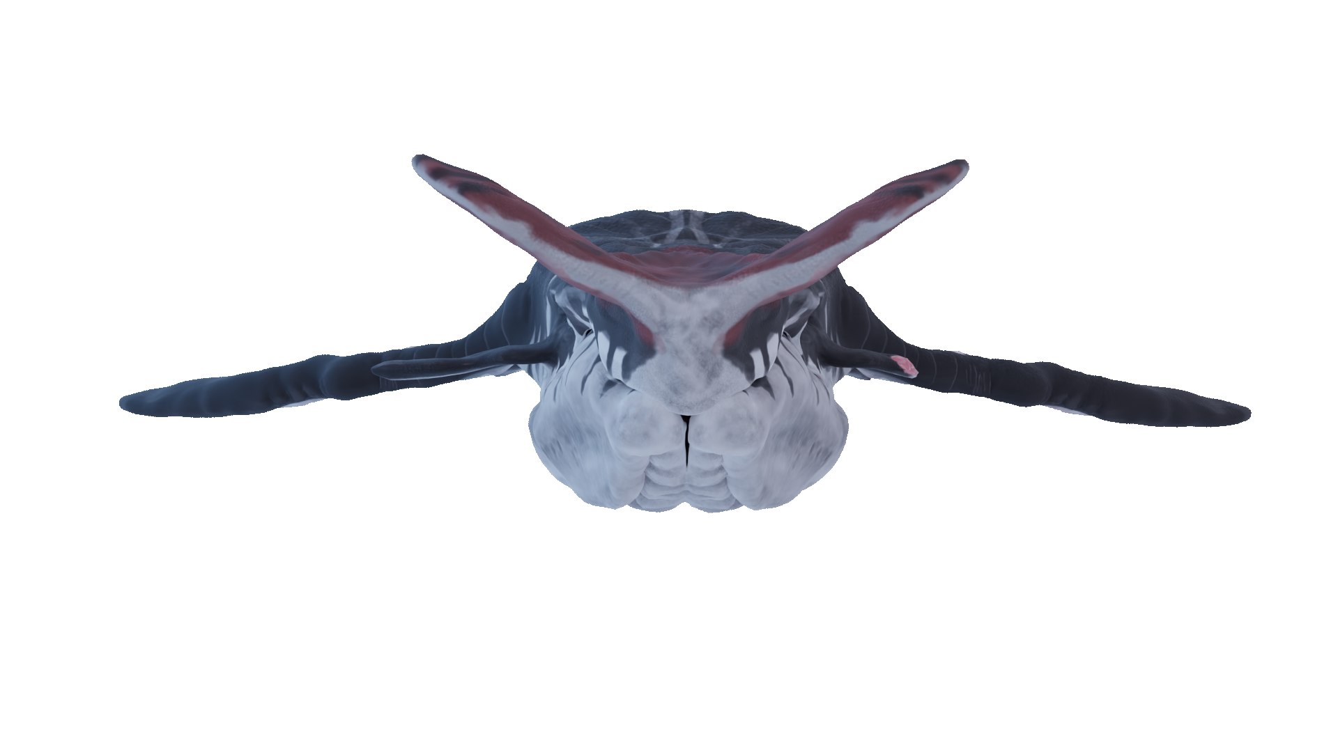 3D Tulkun Animated Rigged 3D Model Inspired By Avatar The Way Of Water ...