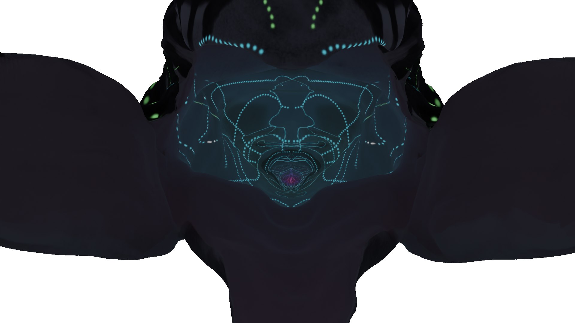 3D Tulkun Animated Rigged 3D Model Inspired By Avatar The Way Of Water ...