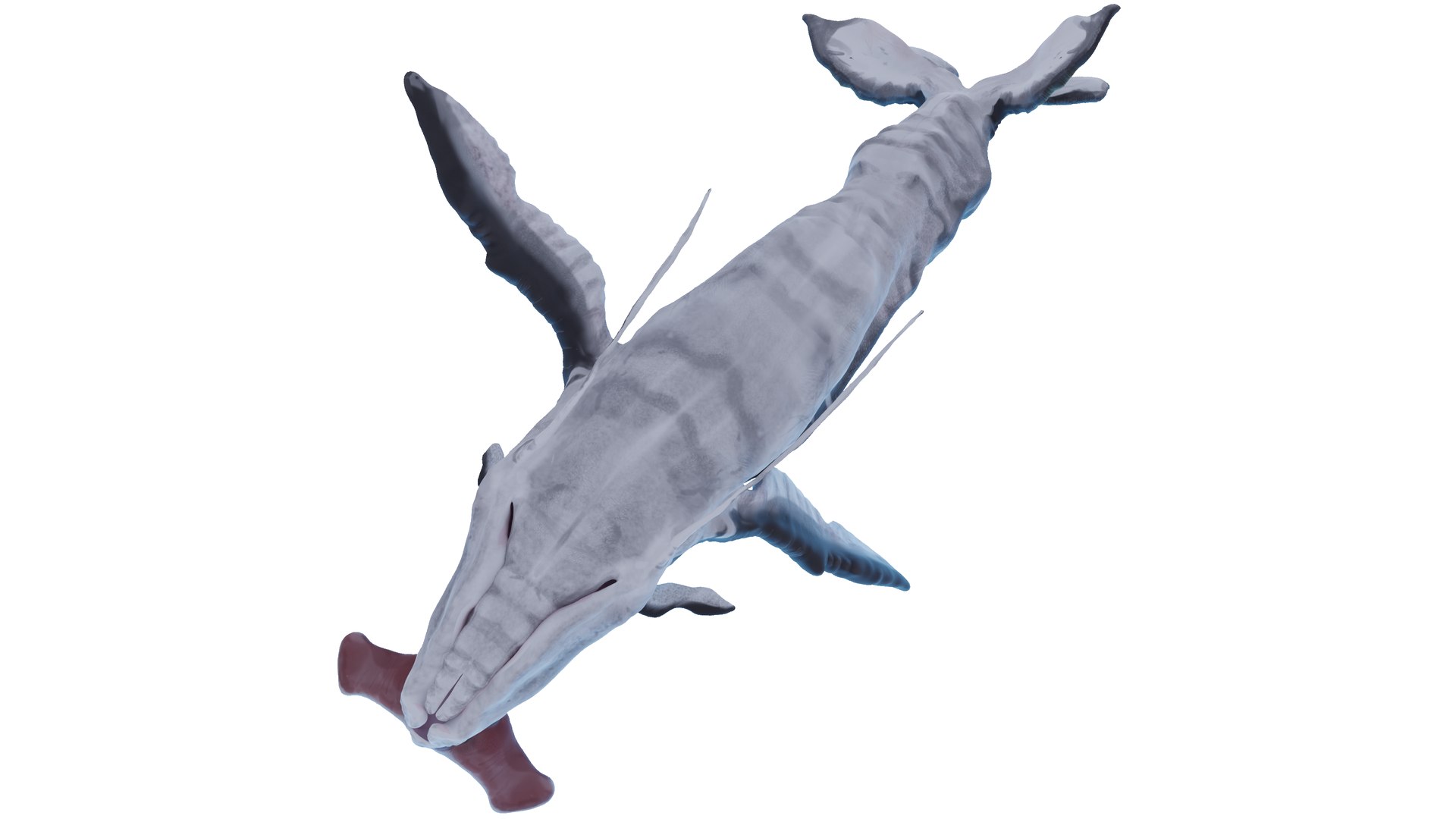 3D Tulkun Animated Rigged 3D Model Inspired By Avatar The Way Of Water ...