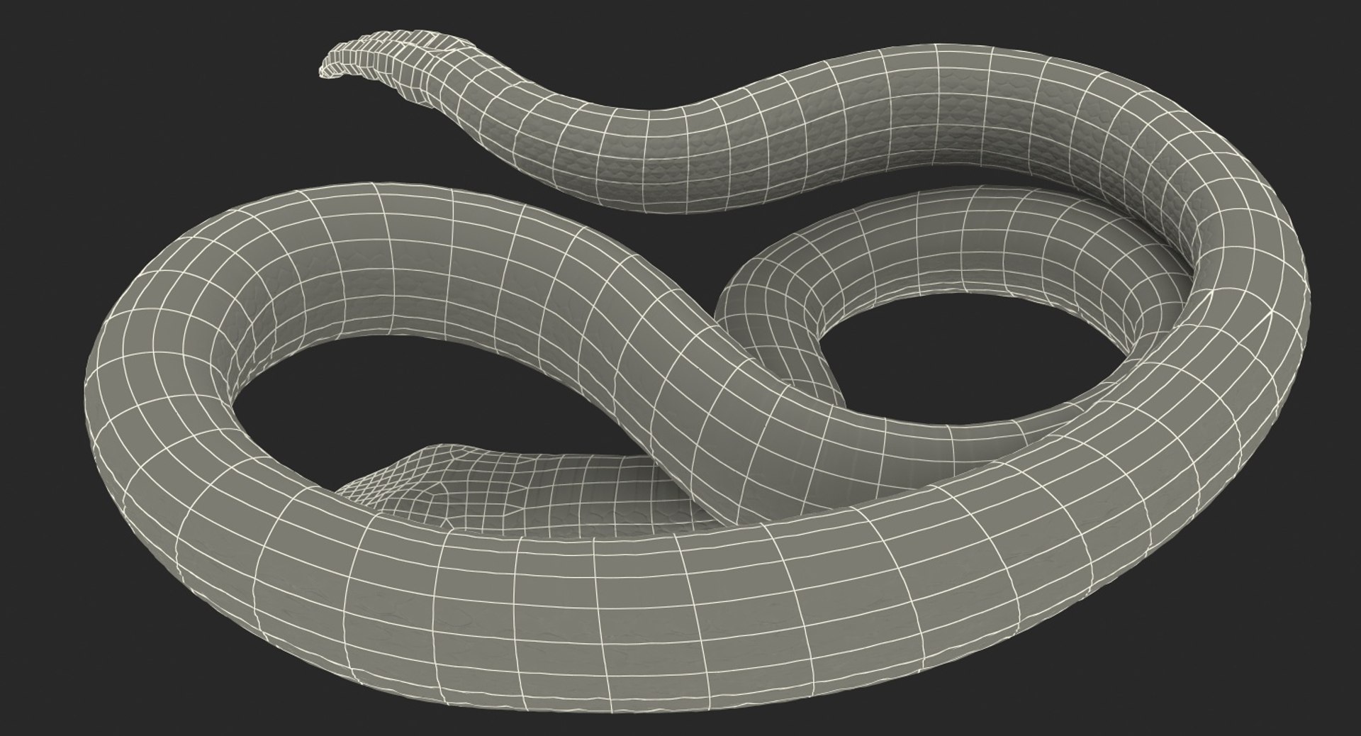 Rattlesnake snake rattle rigged 3D model - TurboSquid 1436169
