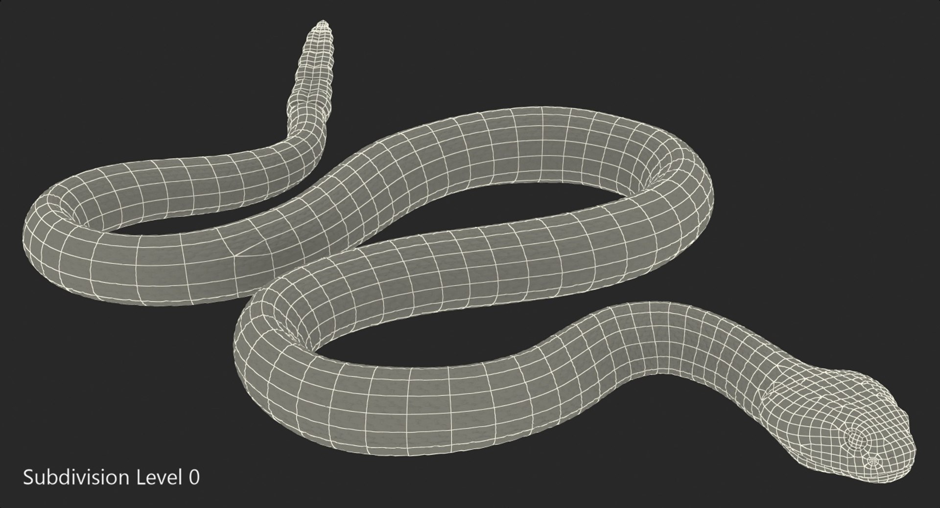 Rattlesnake snake rattle rigged 3D model - TurboSquid 1436169