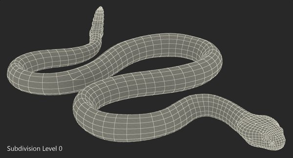 Rattlesnake snake rattle rigged 3D model - TurboSquid 1436169