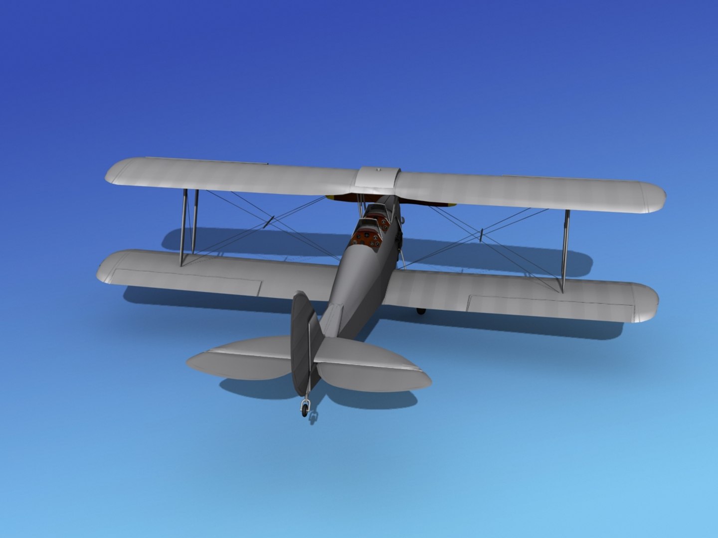 Tiger Moth 3d Model