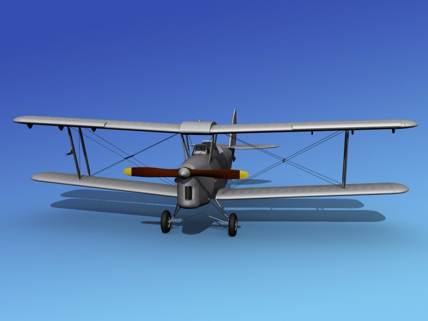 Tiger Moth 3d Model